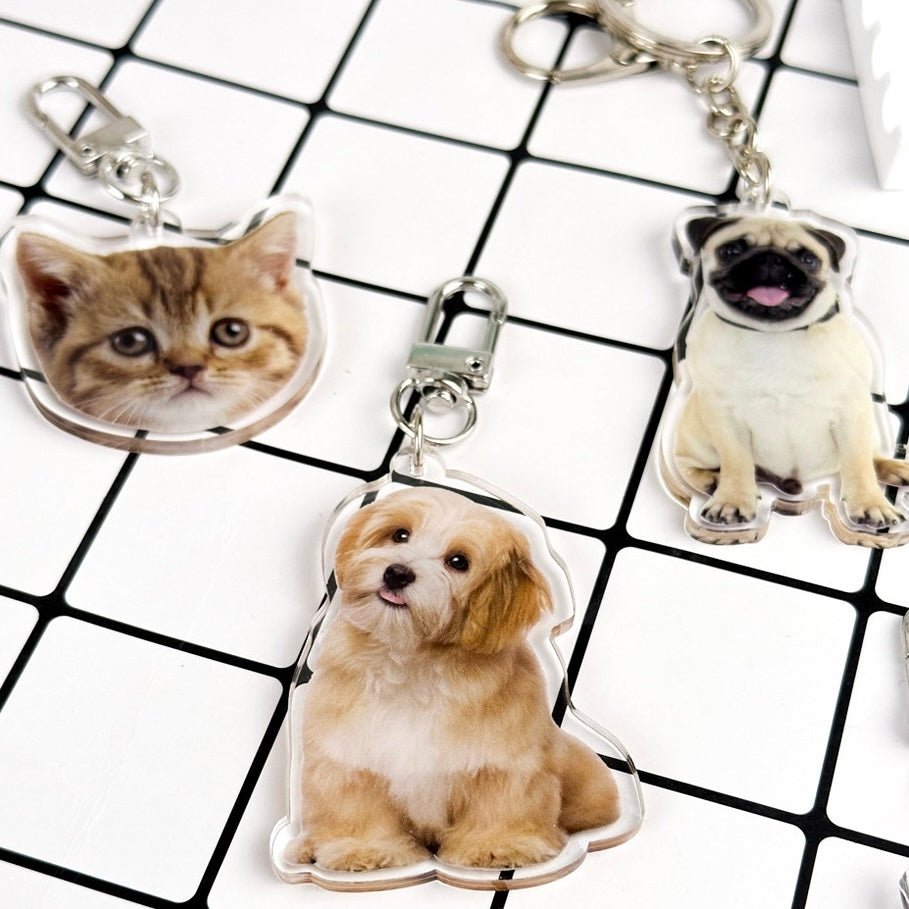 Personalized Pet Acrylic Keychain - PetPalsDIY.com
